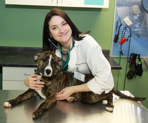 Share In Memory of Dr. Kelly Rada of Humane Ohio | Alley Cat Allies