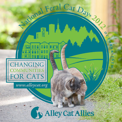 Happy National Feral Cat Day | Alley Cat Allies
