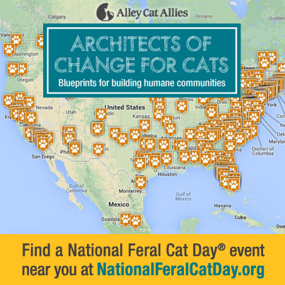 National Feral Cat Day® is October 16 just 15 days away! | Alley Cat Allies