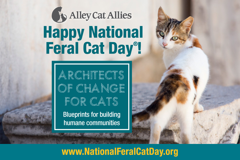 Happy National Feral Cat Day®! | Alley Cat Allies