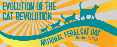 The Evolution of the Cat Revolution | Alley Cat Allies