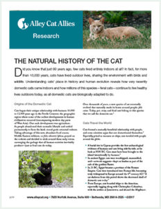 What Animal Did House Cats Evolve From - Stanley Thistried