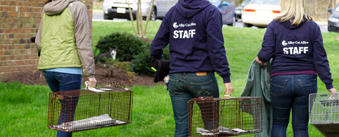 From the Field: A Walk Through Trap-Neuter-Return | Alley Cat Allies
