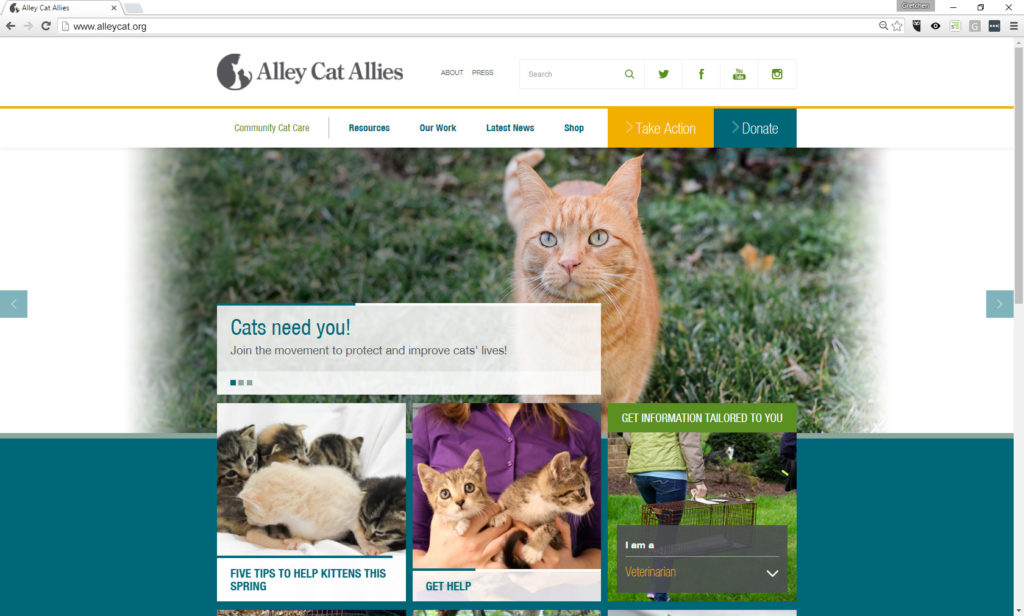 Get Ready for a New Alleycat.org | Alley Cat Allies