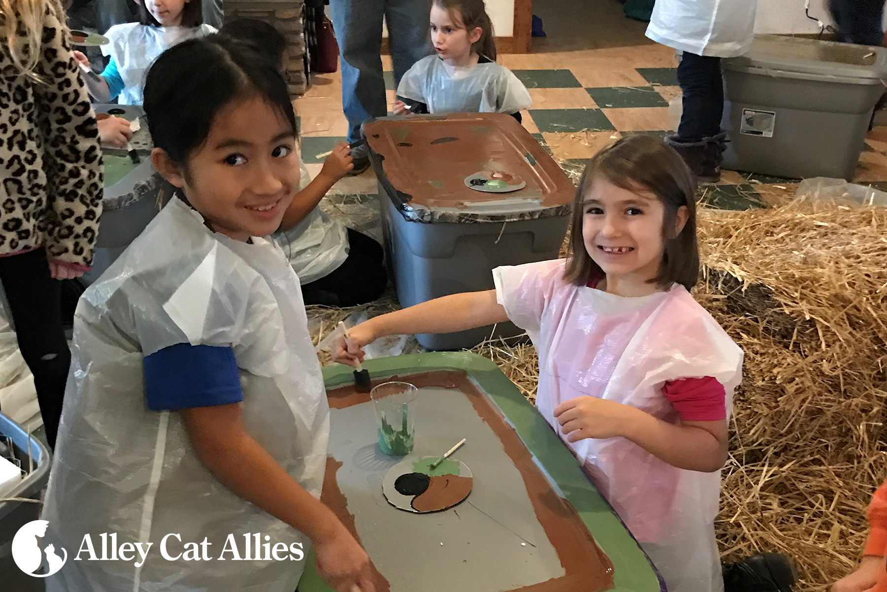 Alley Cat Allies, Local Girl Scouts Protect Cats With Shelters | Alley ...