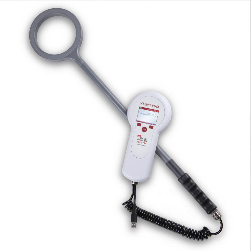 How to Scan a Cat for a Microchip | Alley Cat Allies