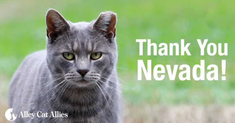 Nevada Passes Bill That Supports Trap-Neuter-Return | Alley Cat Allies Nevada Passes Bill That Supports Trap-Neuter-Return | Alley Cat Allies