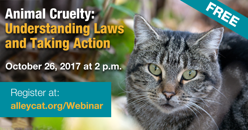 Animal Cruelty: Understanding Laws and Taking Action Webinar | Alley ...