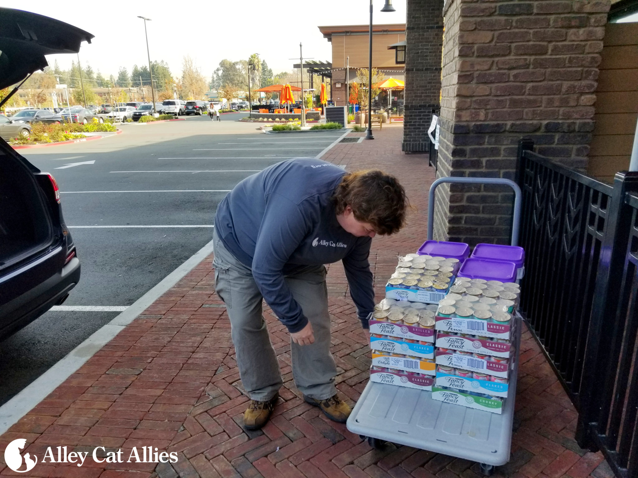 2017 | Alley Cat Allies