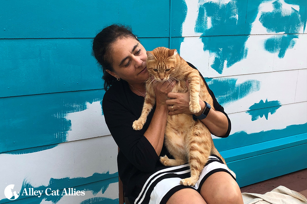 Feral Friends Network® Profile: Nadia Sbeih Helps Cats Around the World ...