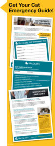 Get the Cat Emergency Guide | Alley Cat Allies