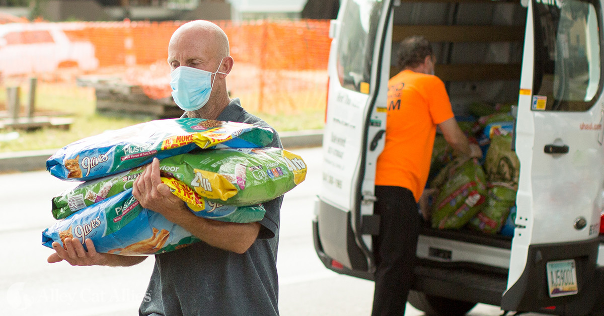 Protecting Louisiana's Cats in the Coronavirus Era | Alley Cat Allies