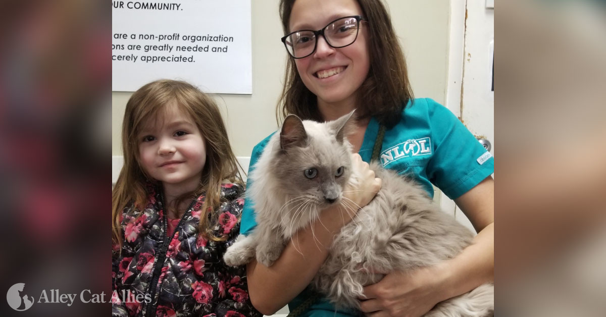 Caring for Tennessee Cats Through Tornadoes and COVID-19 | Alley Cat Allies