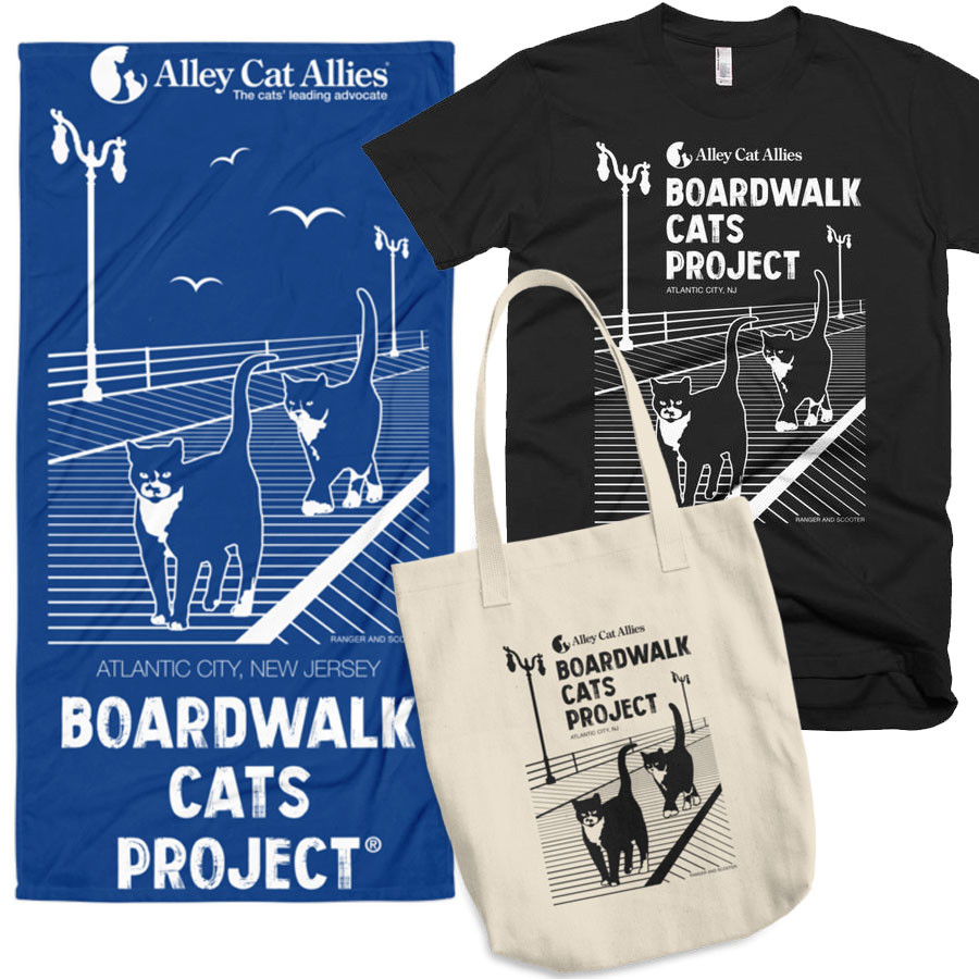Trap Neuter Return (TNR) Program | Boardwalk Cats Project®