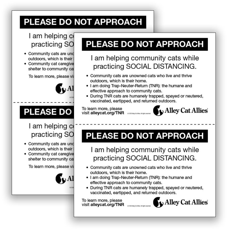COVID-19 Guide: Community Cat Caregivers | Alley Cat Allies