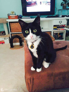 Planned Giving Profile: Debby Giblin | Alley Cat Allies