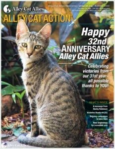 Alley Cat Action, Volume 32, Issue 4, Summer 2022 | Alley Cat Allies