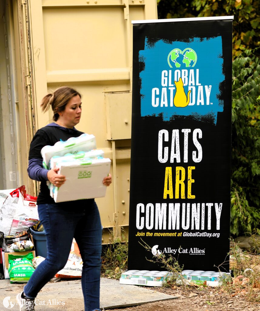 No-Cost Cat Food in Iowa in Honor of Global Cat Day | Alley Cat Allies