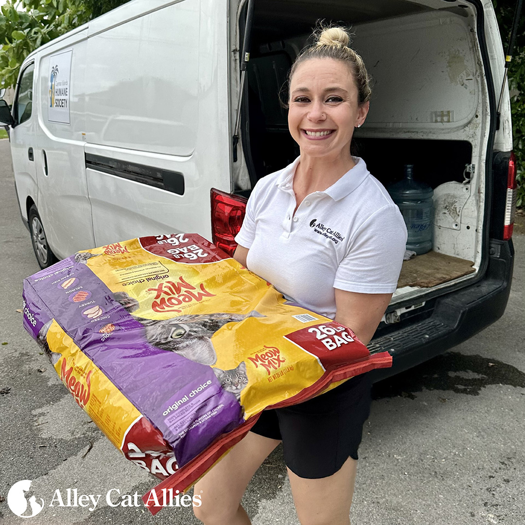 Alley Cat Allies Expands Lifesaving Action for Cats on the Cayman ...
