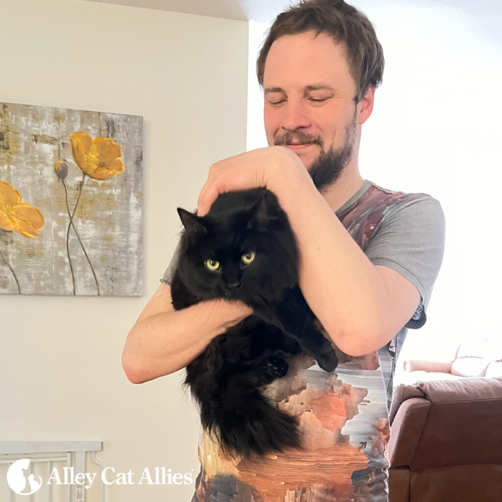 Alley Cat Allies is Back in Puerto Rico to Protect Cats and More ...