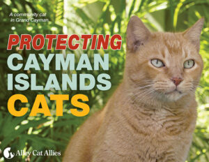 Protecting Cayman Islands Cats | Alley Cat Allies