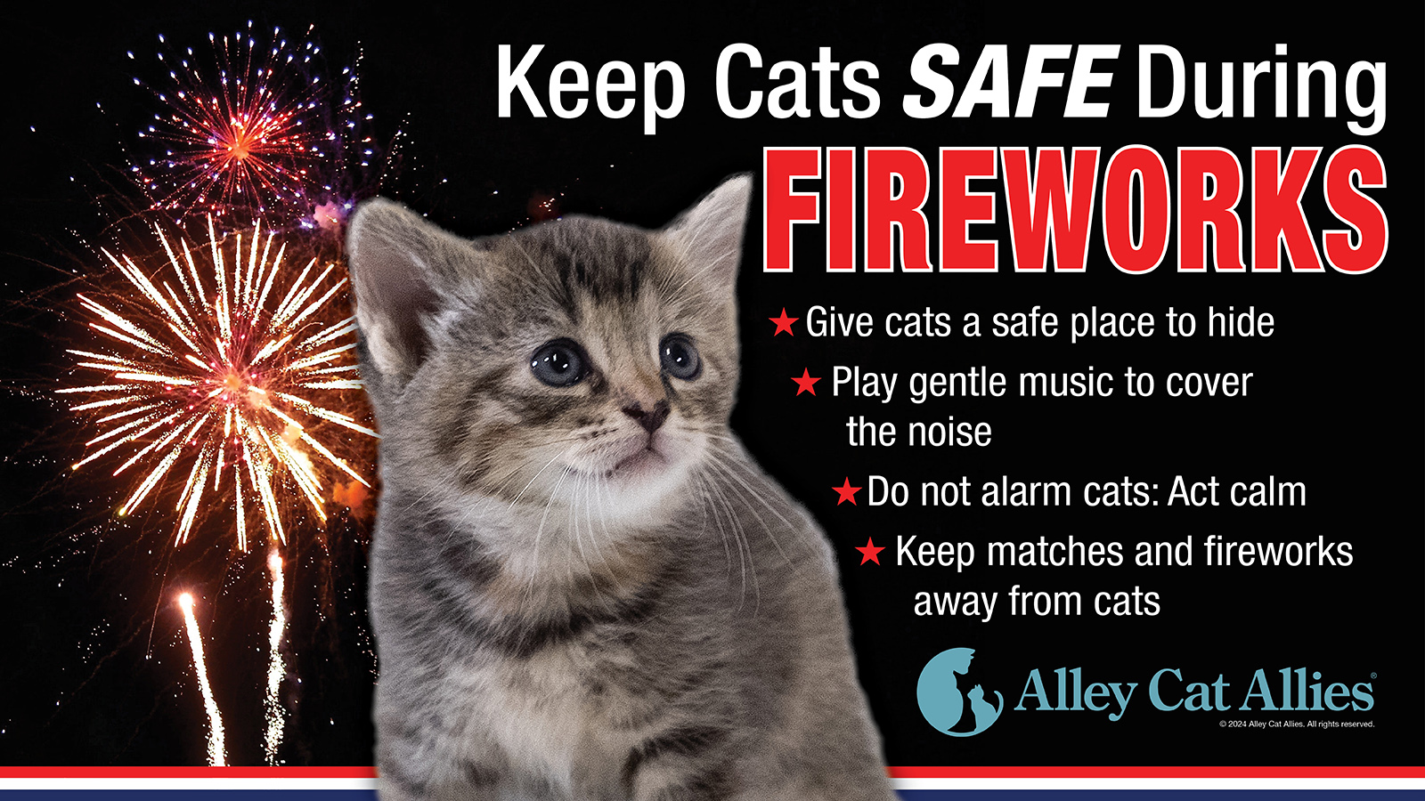 4th of July Safety Tips for Cats | Alley Cat Allies