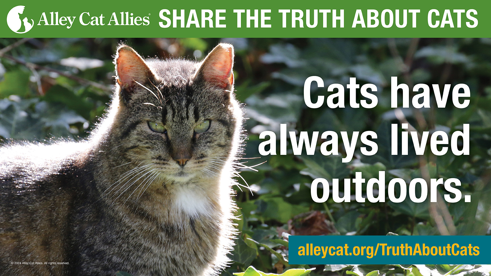 Share the Truth About Cats | Alley Cat Allies