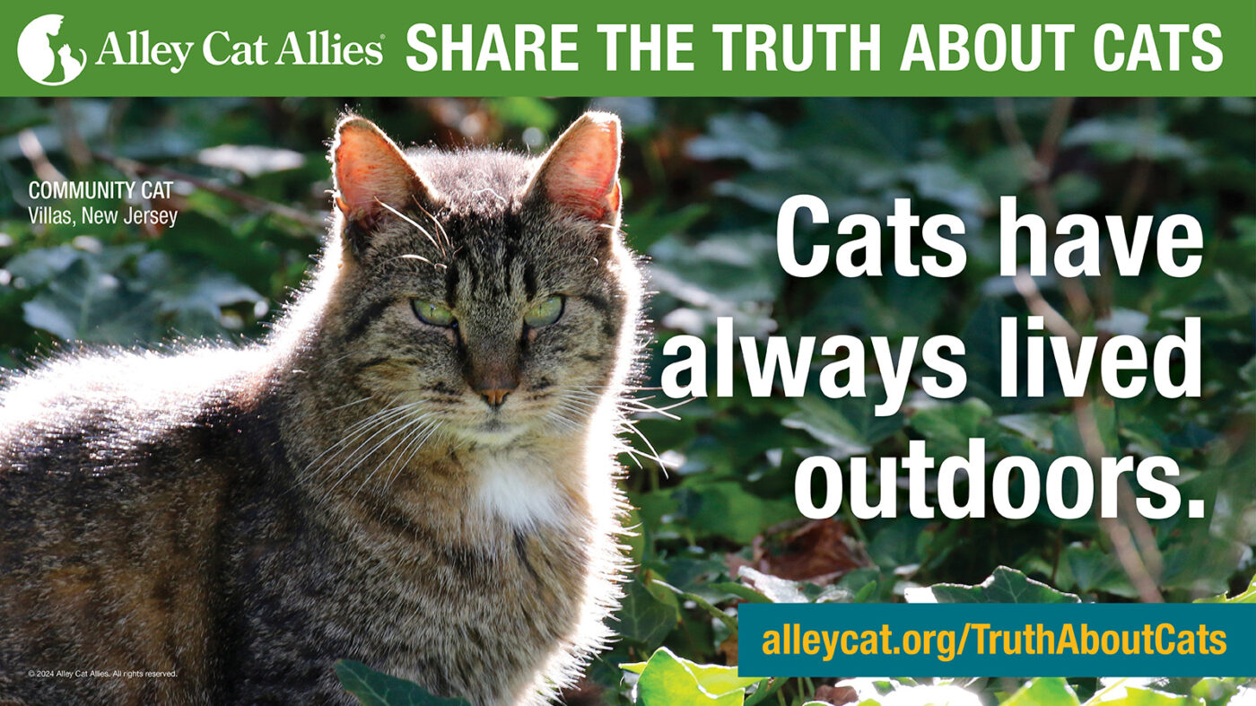 Share the Truth About Cats | Alley Cat Allies