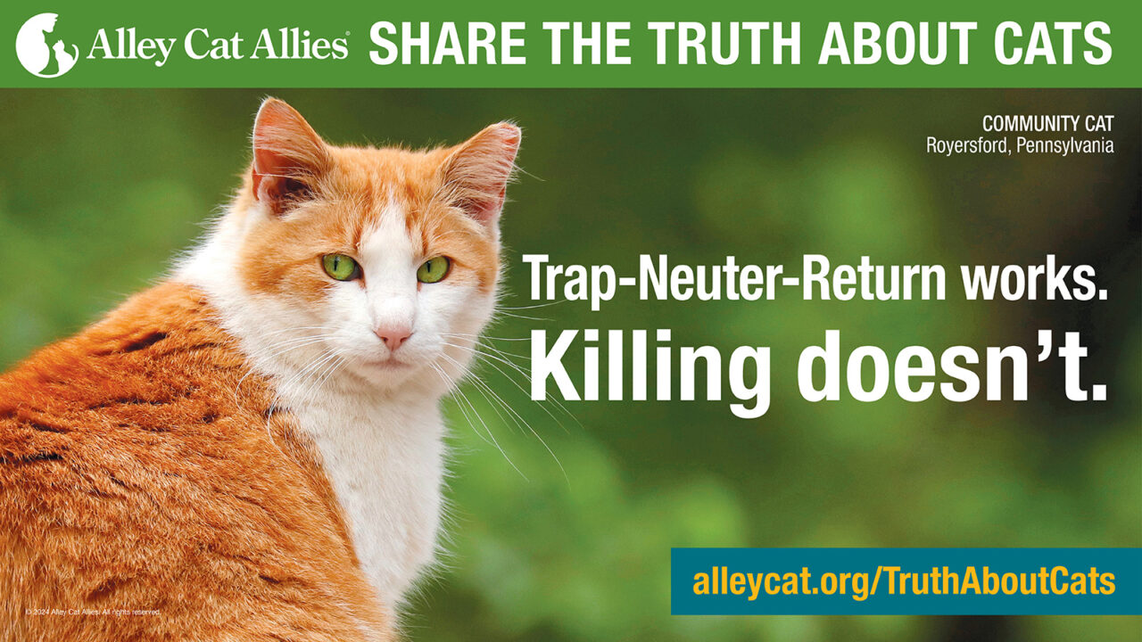 Share the Truth About Cats | Alley Cat Allies