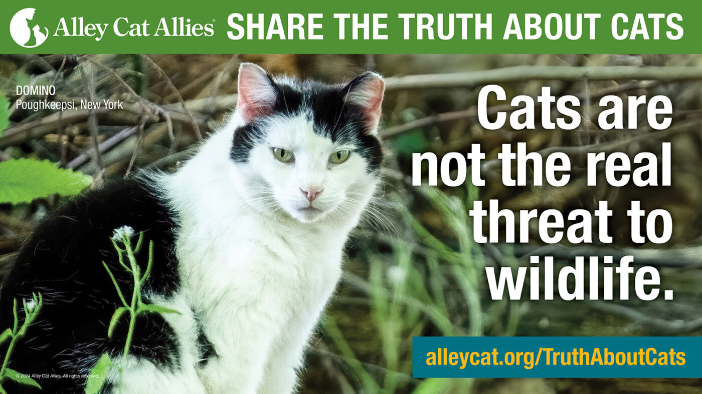 Share the Truth About Cats | Alley Cat Allies