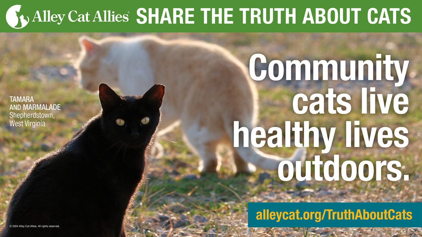 Share the Truth About Cats | Alley Cat Allies