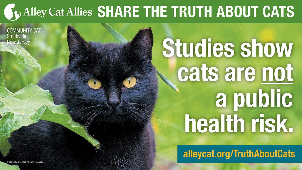 Share the Truth About Cats | Alley Cat Allies