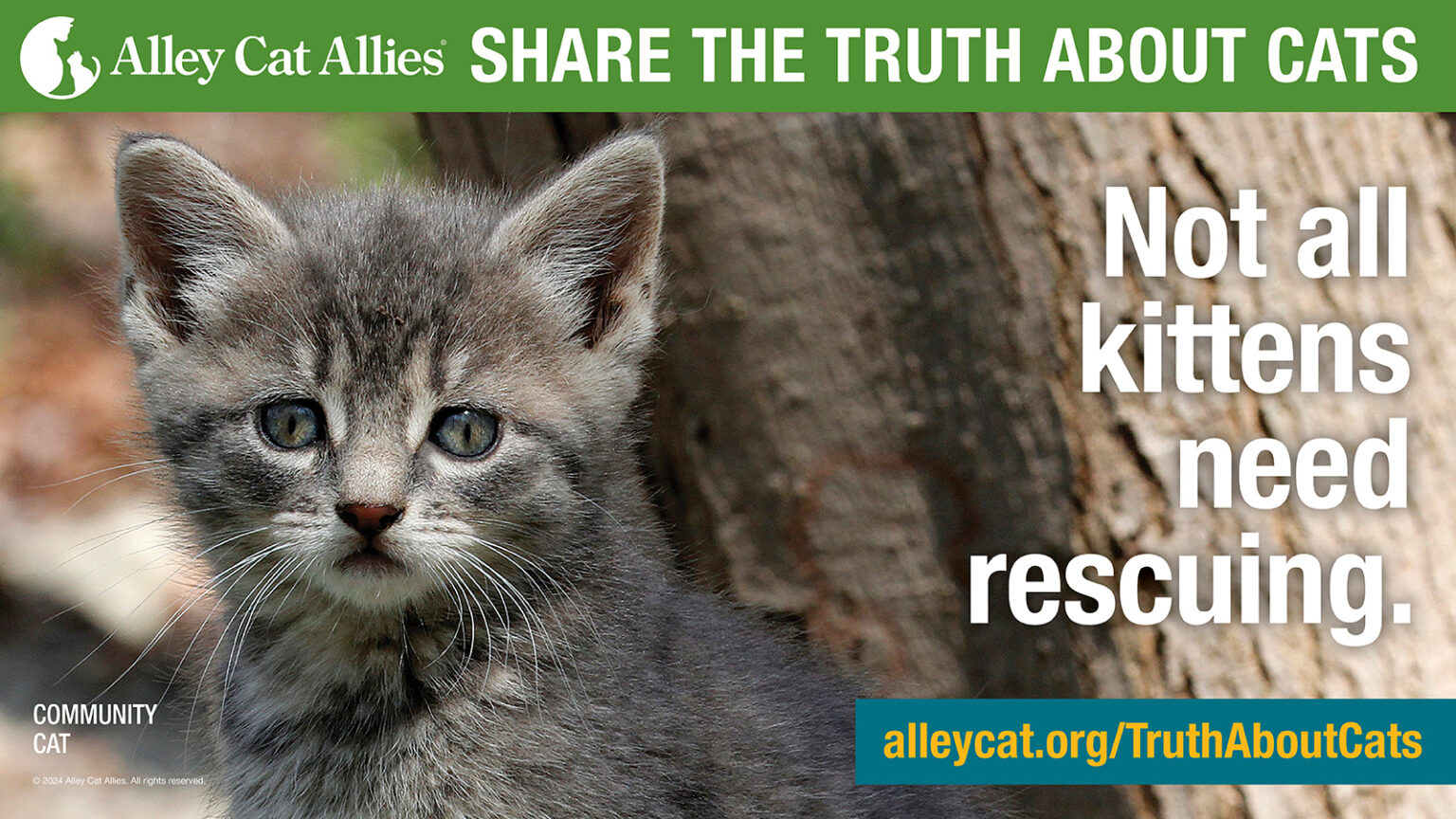 Share the Truth About Cats | Alley Cat Allies