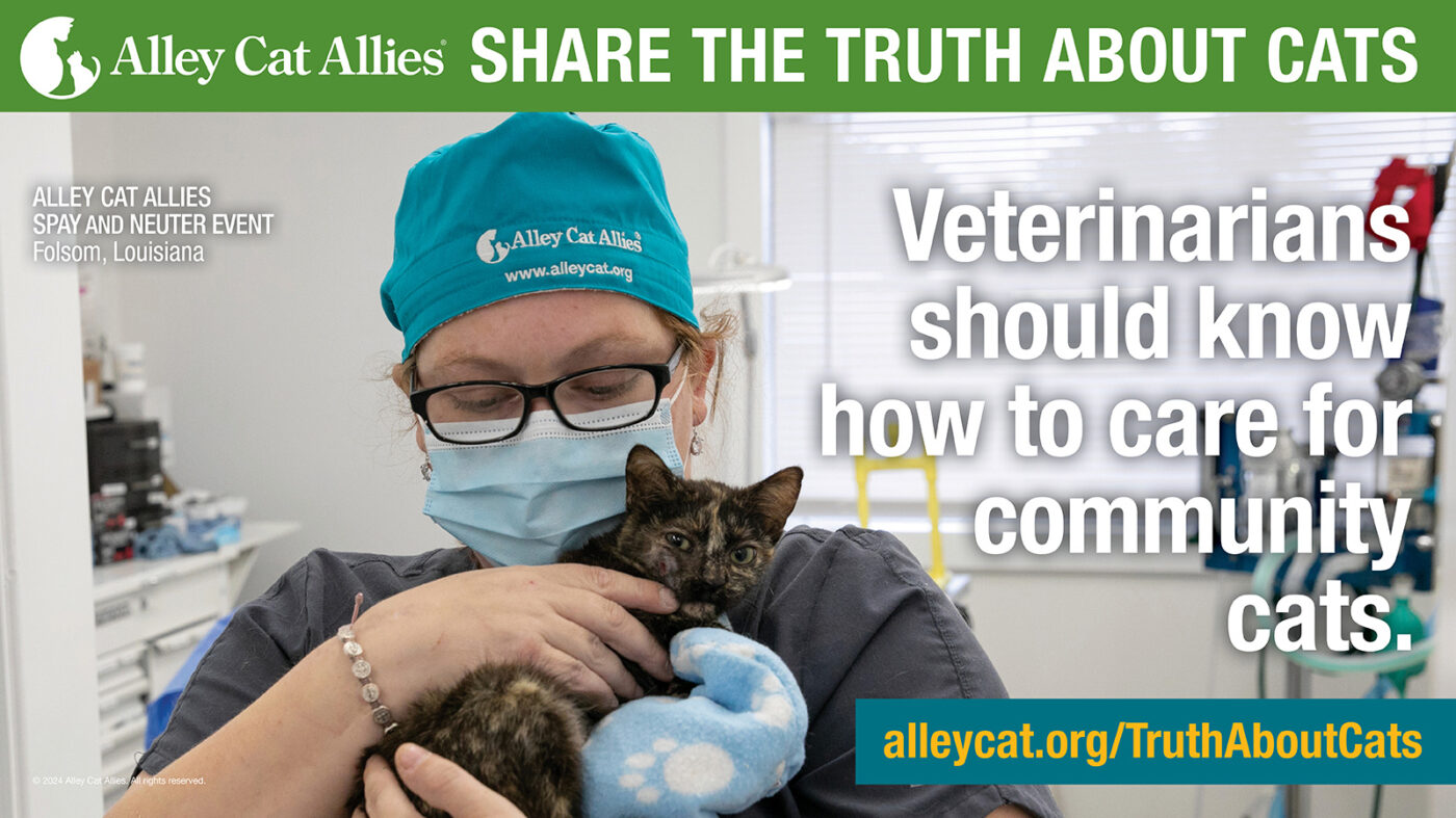 Share the Truth About Cats | Alley Cat Allies