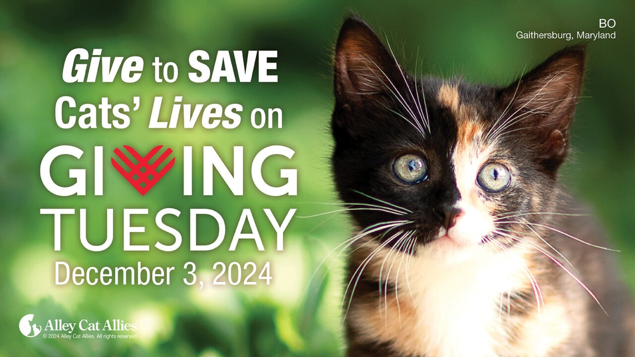 Your Giving Tuesday Gift Will Have Three Times the Lifesaving Impact ...