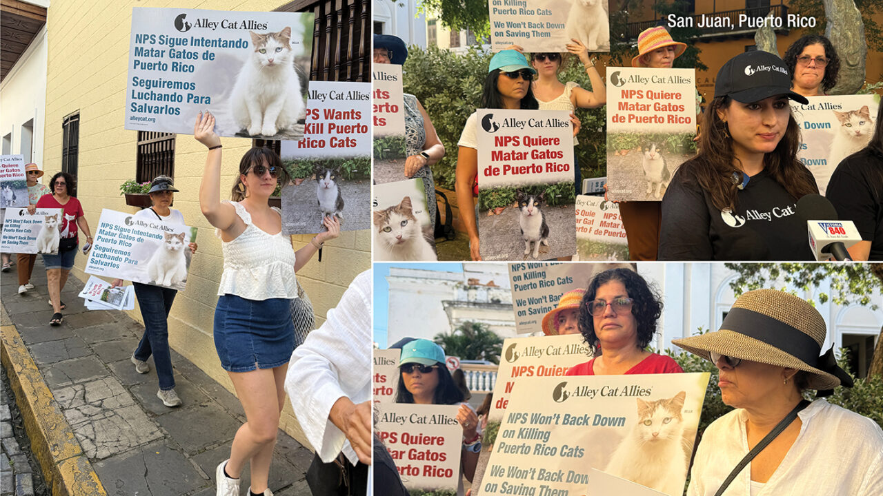 Join the WORLDWIDE PROTEST: Stop the U.S. National Park Service from ...