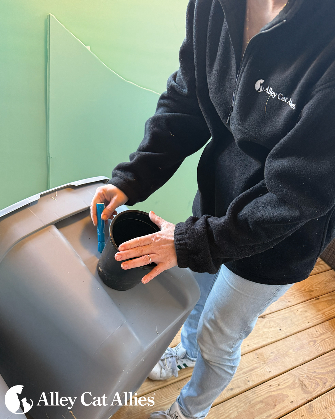 Alley Cat Allies Prepares Cats Outdoors for the Arctic Blast